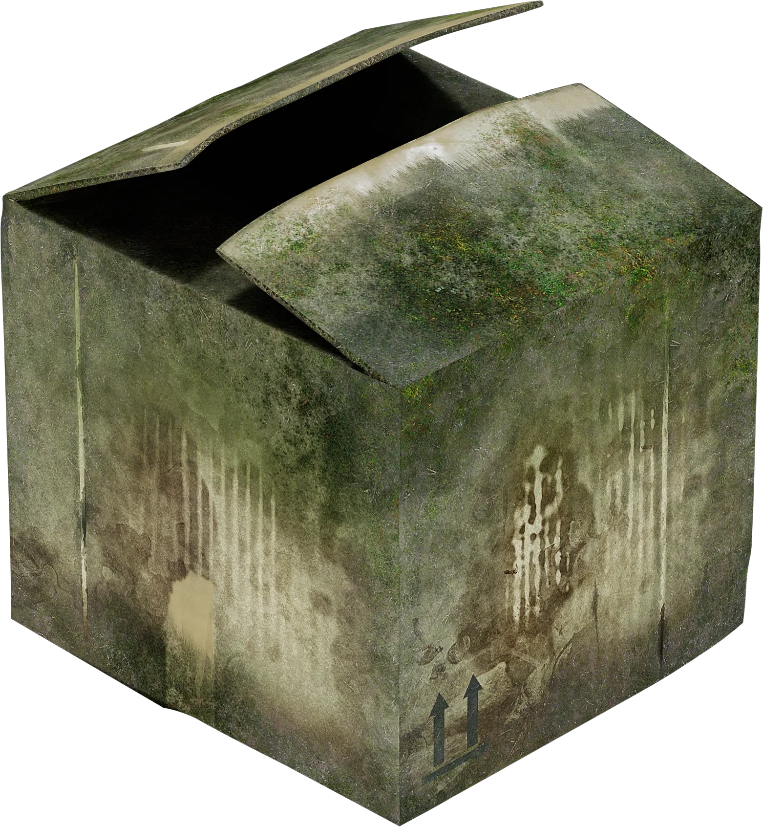 Cardboard Box - Overgrown | Cosmos by Leartes