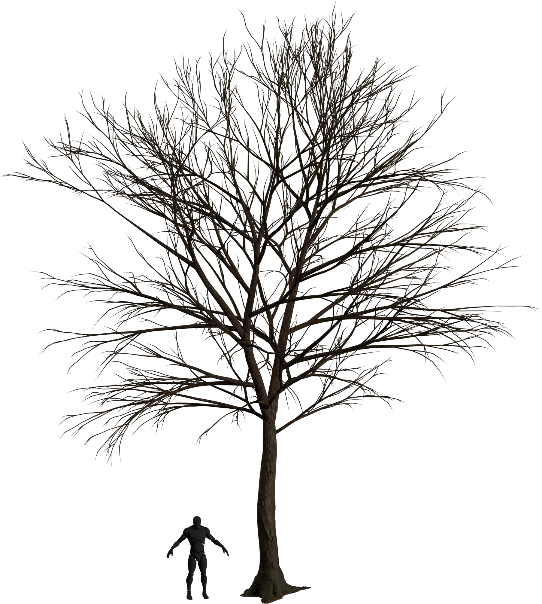 Dead Ash Tree | Cosmos by Leartes
