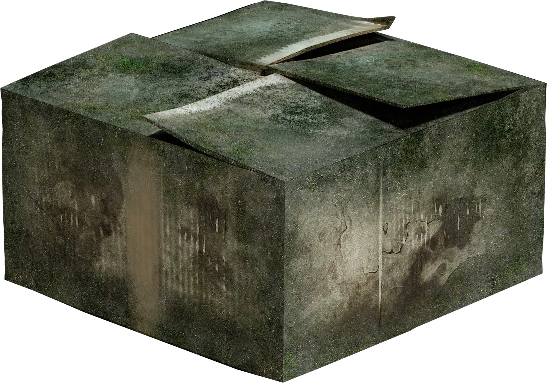 Cardboard Box - Overgrown | Cosmos by Leartes